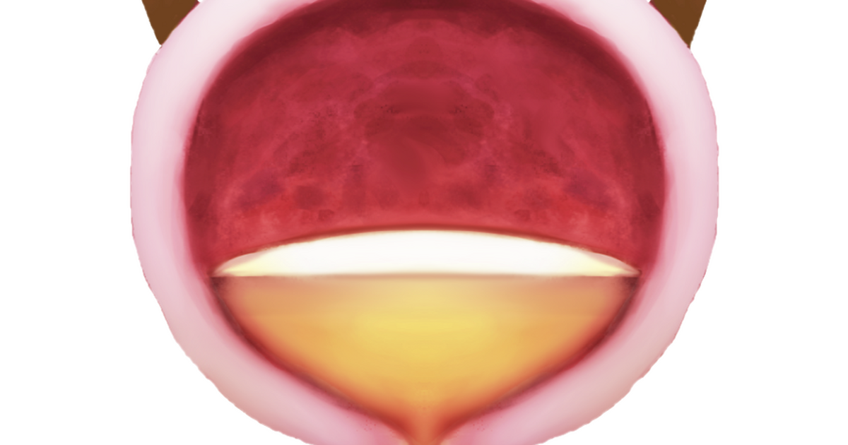 Urinary Incontinence | Our Bodies Ourselves