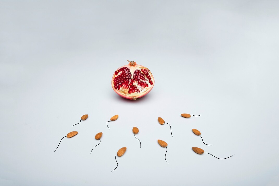 Stages in the Menstrual Cycle | Our Bodies Ourselves